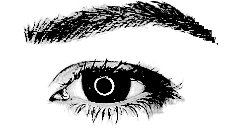 Microblading Eyebrows Melbourne